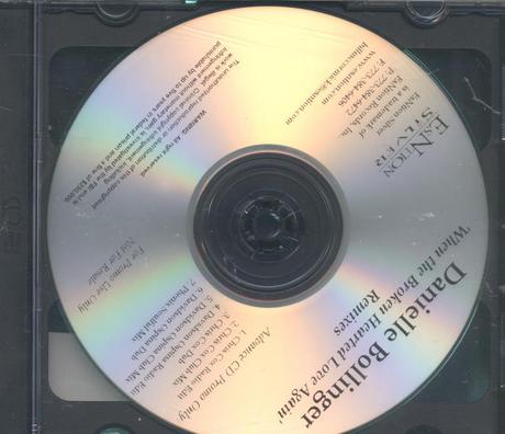 WHEN THE BROKEN HEARTED LOVE AGAIN > DANIELLE BOLLINGER > 佳佳唱片行