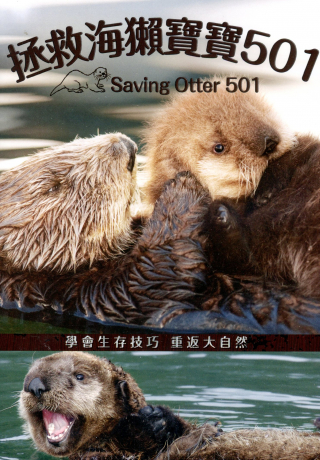 拯救海獺寶寶501 DVD／Saving Otter 501 > 紀錄片 > 佳佳唱片行