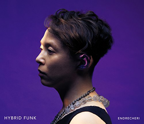 HYBRID FUNK 【Limited Edition B】(CD+DVD) > ENDRECHERI > 佳佳唱片行