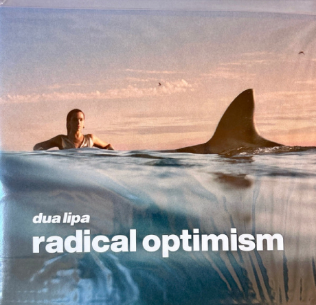 Radical Optimism (Blue & White Vinyl) > 杜娃黎波／Dua Lipa > 佳佳唱片行